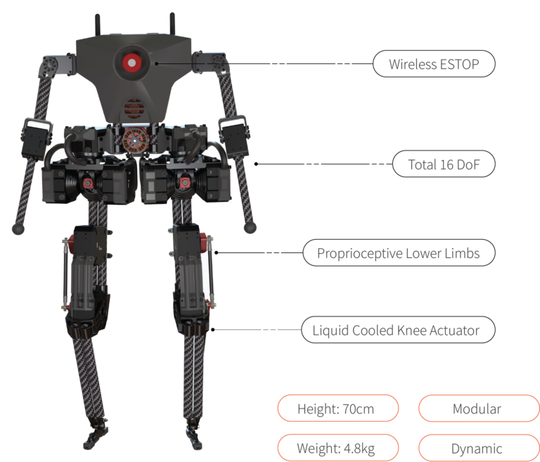 BRUCE – Westwood Robotics