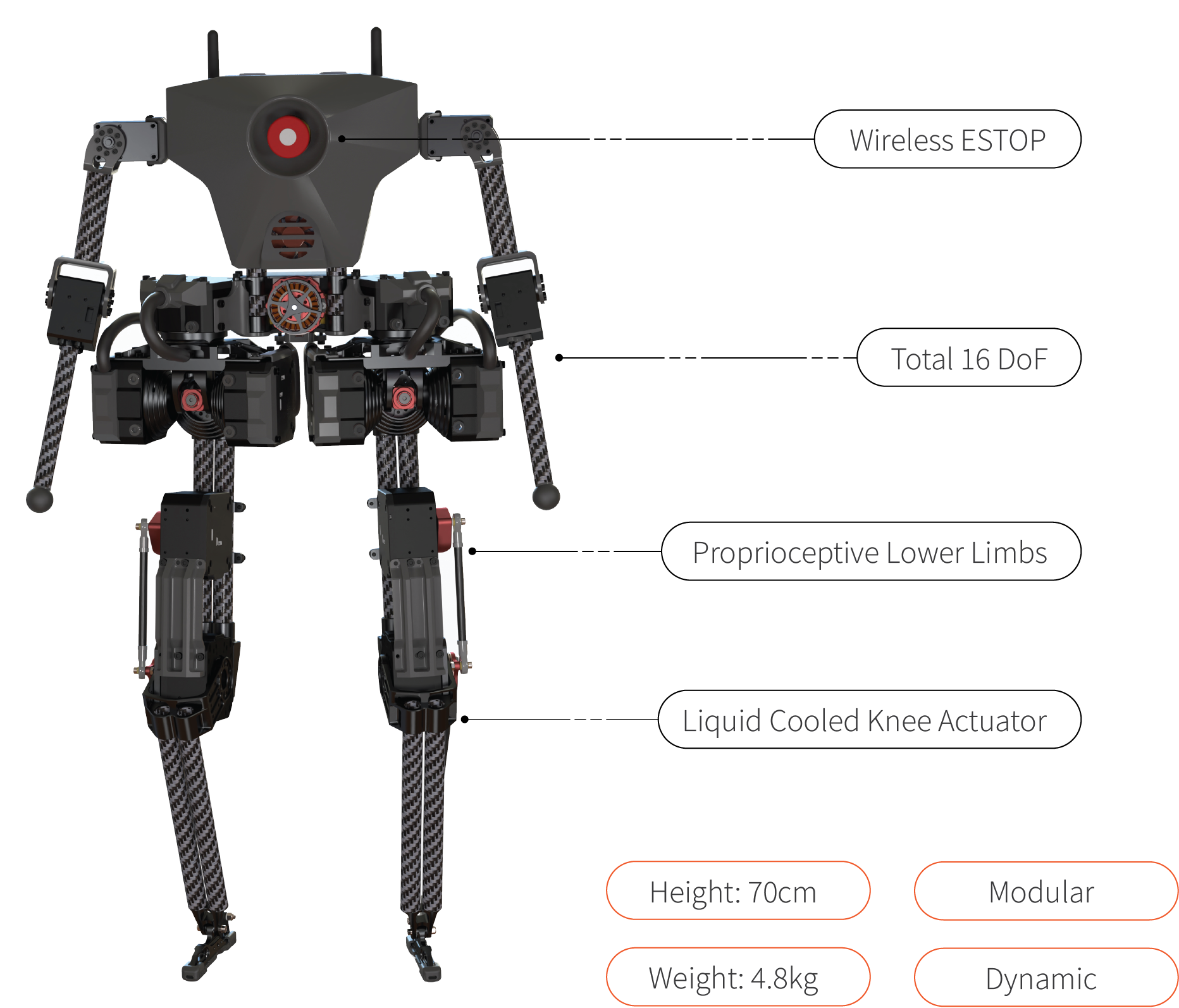 BRUCE – Westwood Robotics